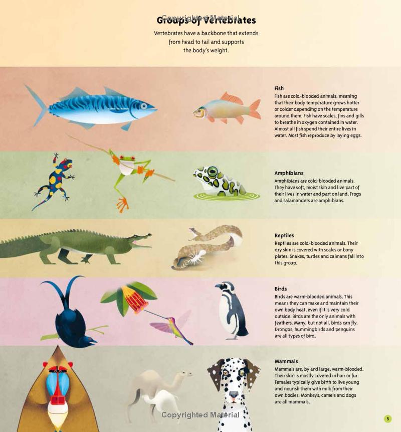 Amazing Animals: 100+ Creatures That Will Boggle Your Mind - FAHASA.COM