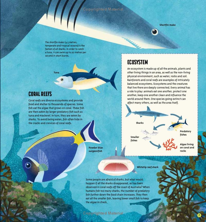 Amazing Animals: 100+ Creatures That Will Boggle Your Mind - FAHASA.COM