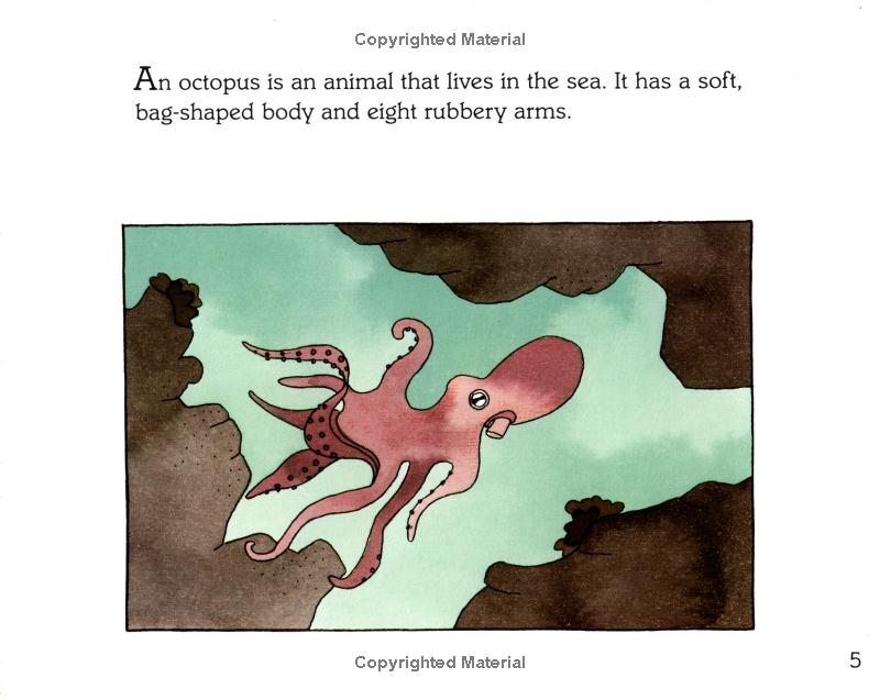 An Octopus Is Amazing (Let's-Read-and-Find-Out Science, Stage 2)