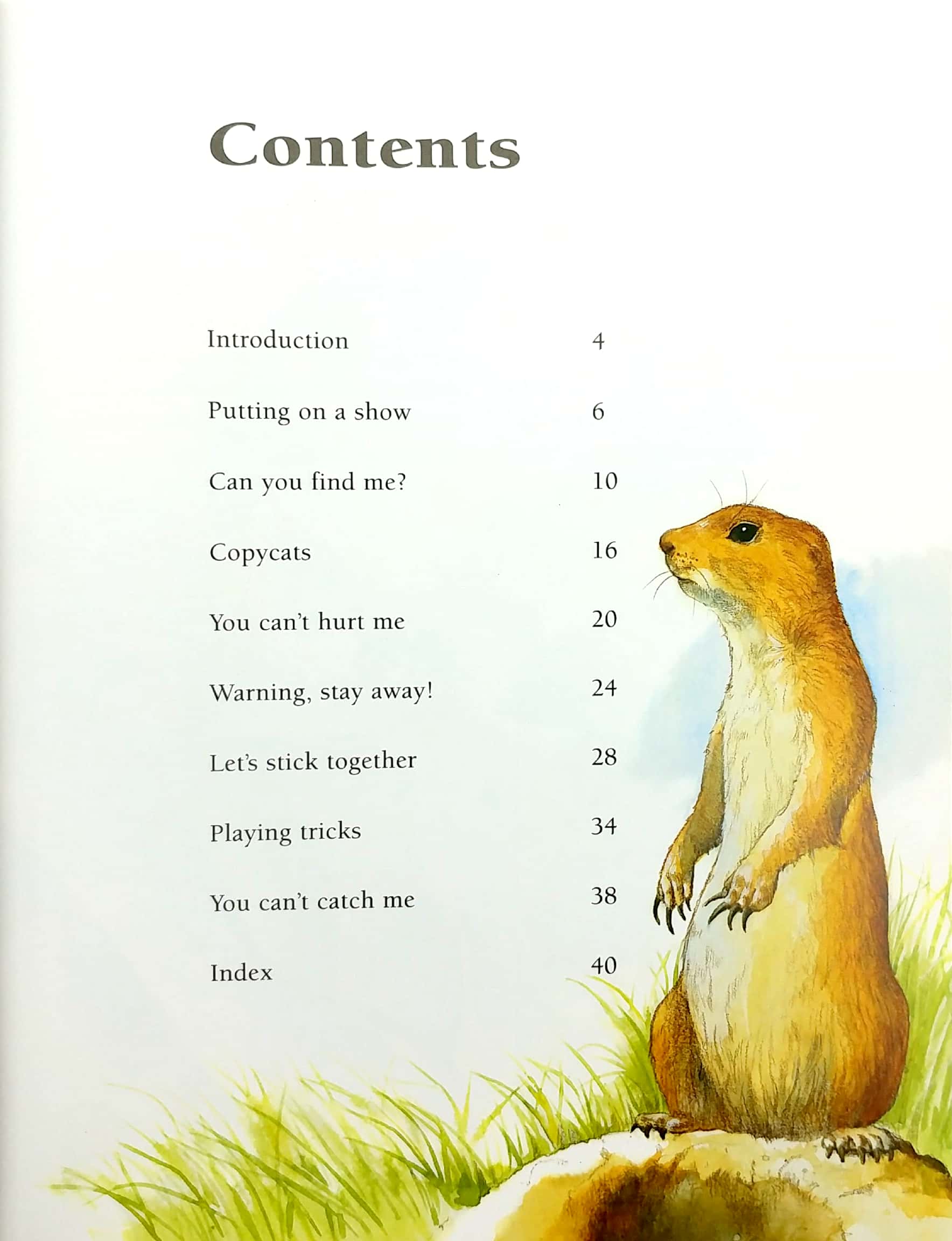 Animal Defenses: How Animals Protect Themselves (Animal Behavior)