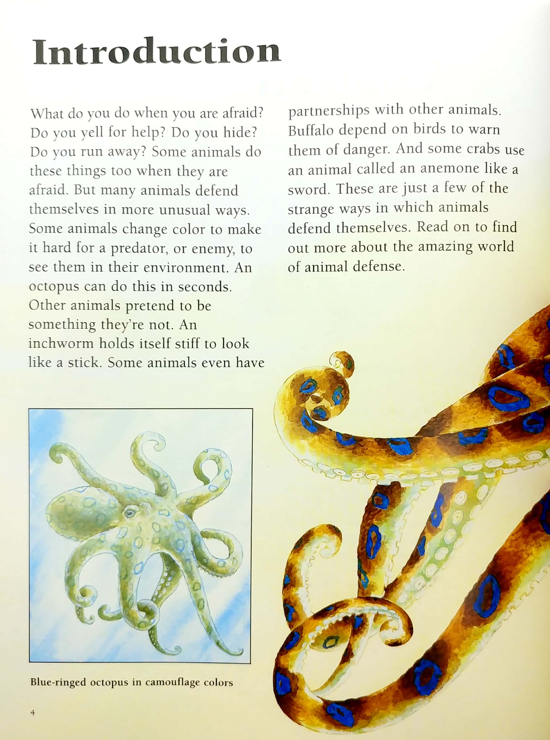 Animal Defenses: How Animals Protect Themselves (Animal Behavior)