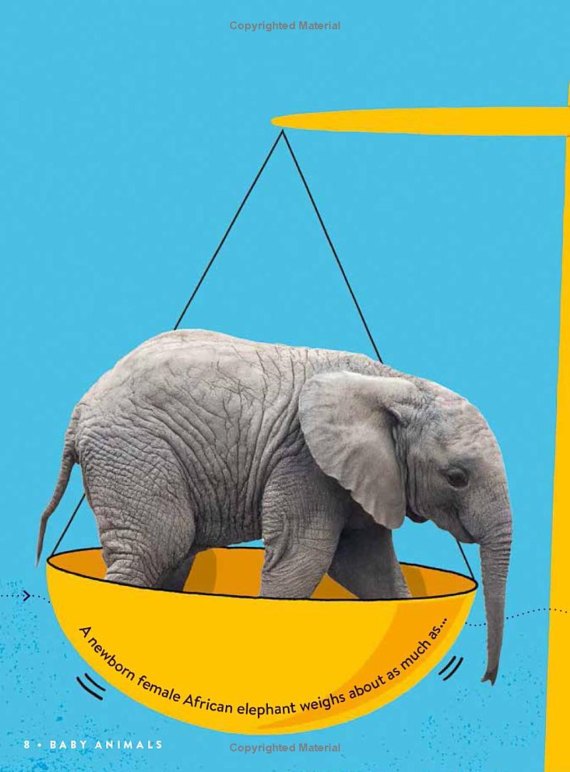 Animal FACTopia! Follow The Trail Of 400 Beastly Facts - FAHASA.COM