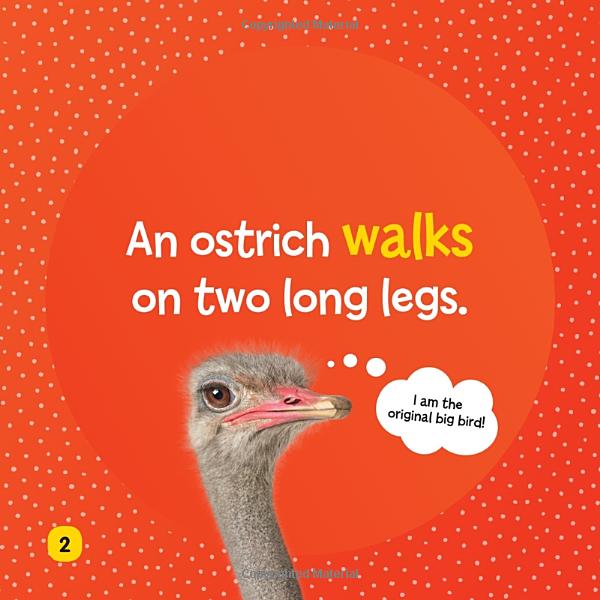 Animals On The Go (Little Kids First Board Book)