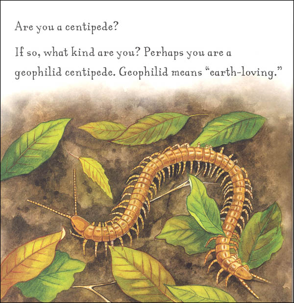 Are You A Centipede? (Backyard Books)