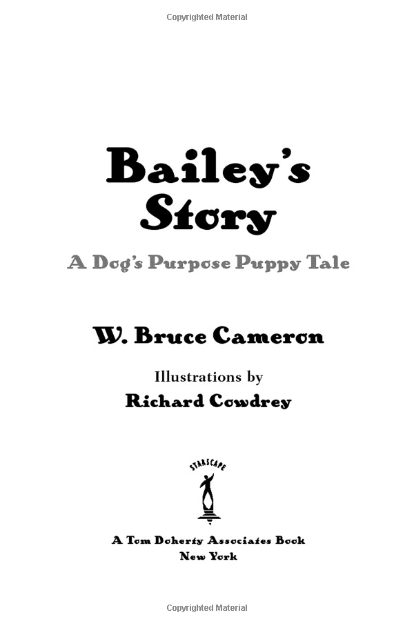 Bailey's Story
