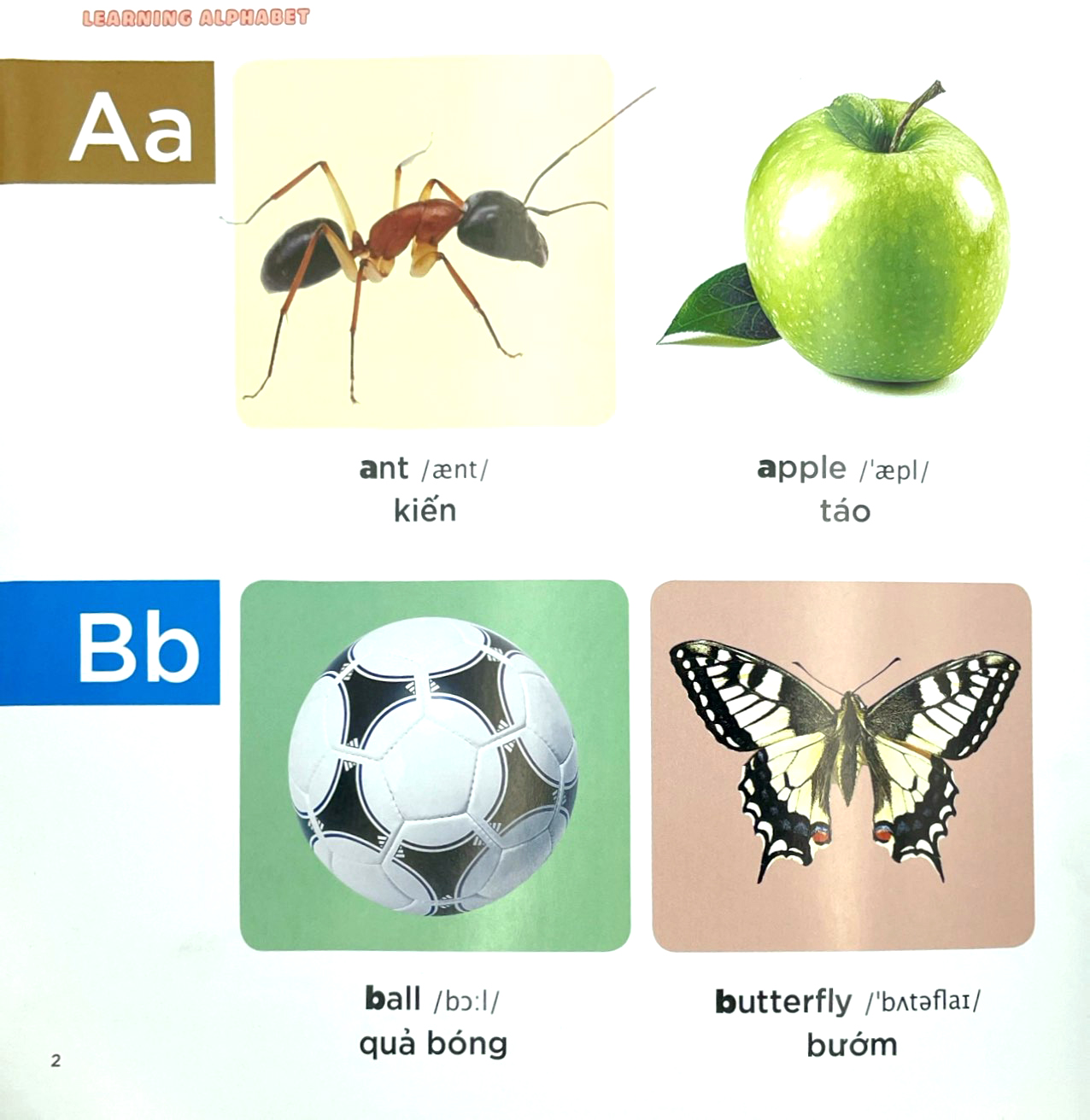 Bé Học Tiếng Anh Qua Hình Ảnh - Bảng Chữ Cái PDF - Tờ Khai Y Tế