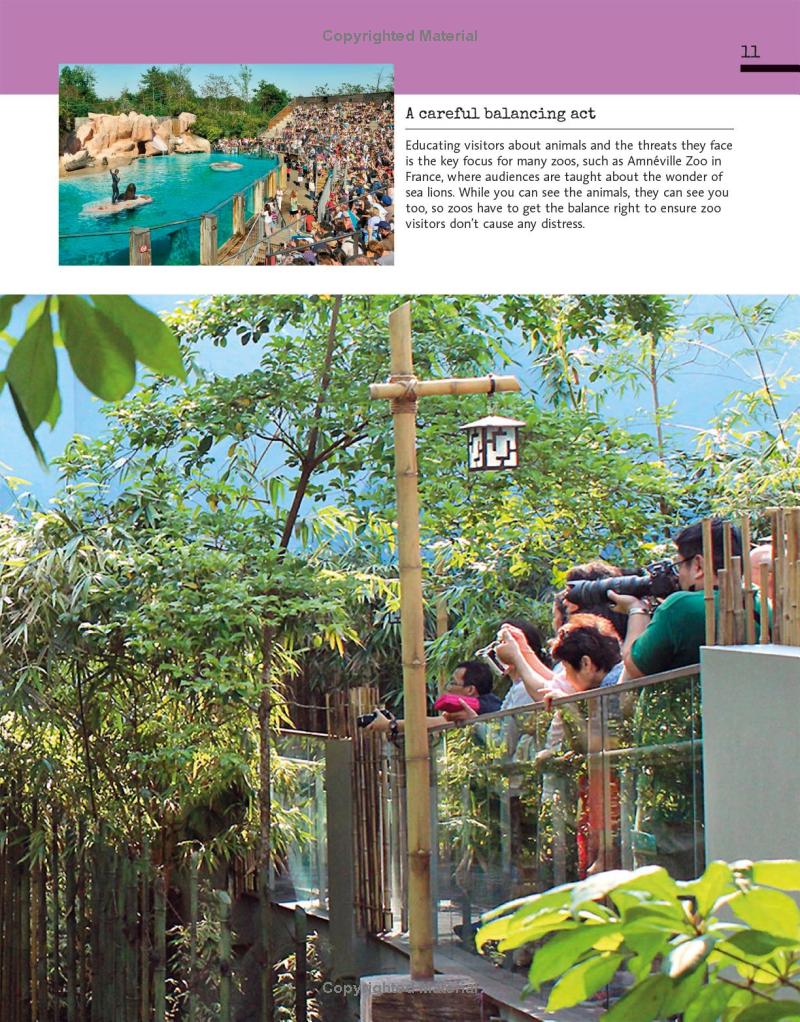 Behind The Scenes At The Zoo: Your Access-All-Areas Guide To The World ...