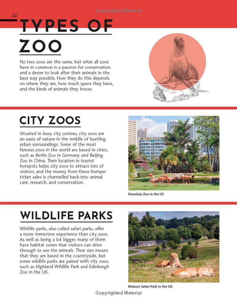 Behind The Scenes At The Zoo: Your Access-All-Areas Guide To The World ...