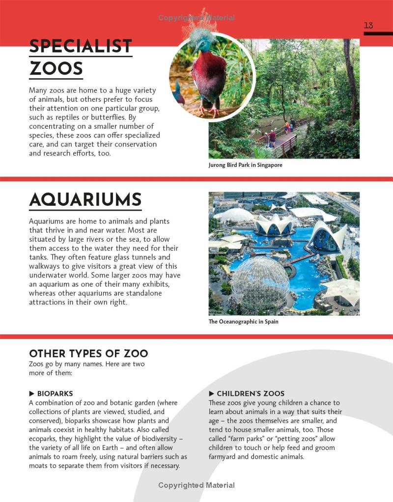 Behind The Scenes At The Zoo: Your Access-All-Areas Guide To The World ...