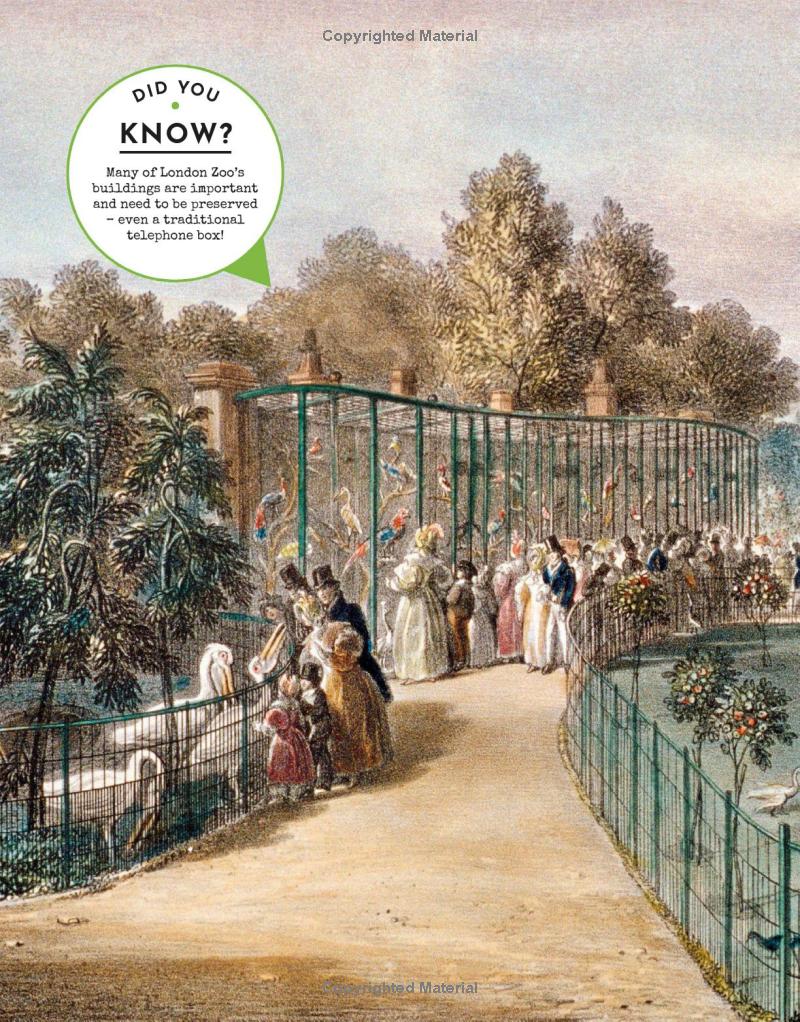 Behind The Scenes At The Zoo: Your Access-All-Areas Guide To The World ...