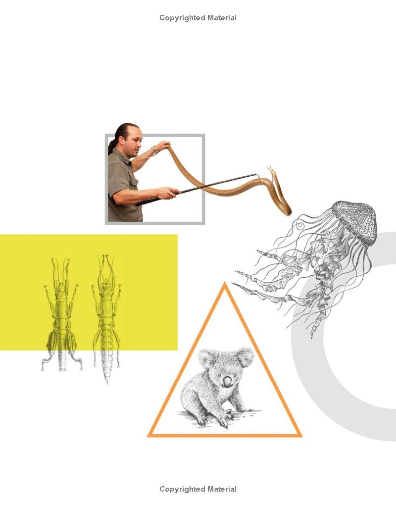Behind The Scenes At The Zoo: Your Access-All-Areas Guide To The World ...