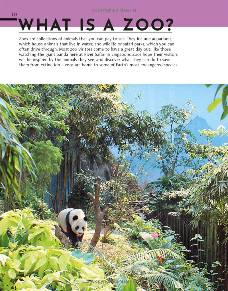 Behind The Scenes At The Zoo: Your Access-All-Areas Guide To The World ...