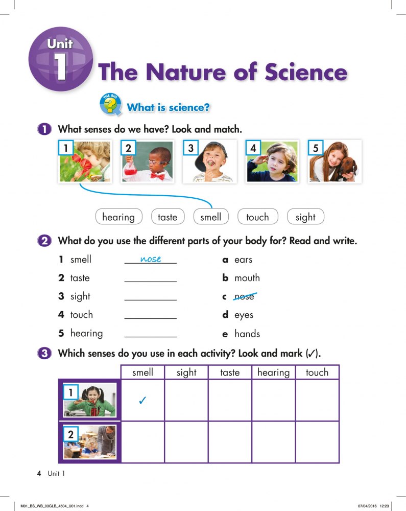 Big Science 3 Workbook