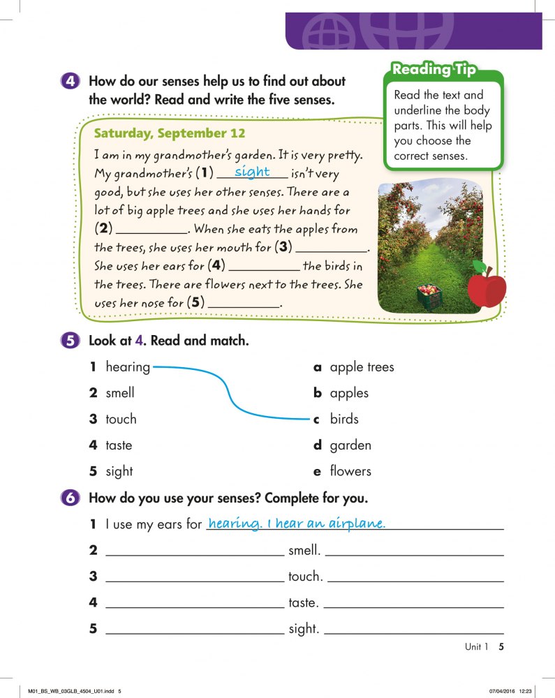 Big Science 3 Workbook