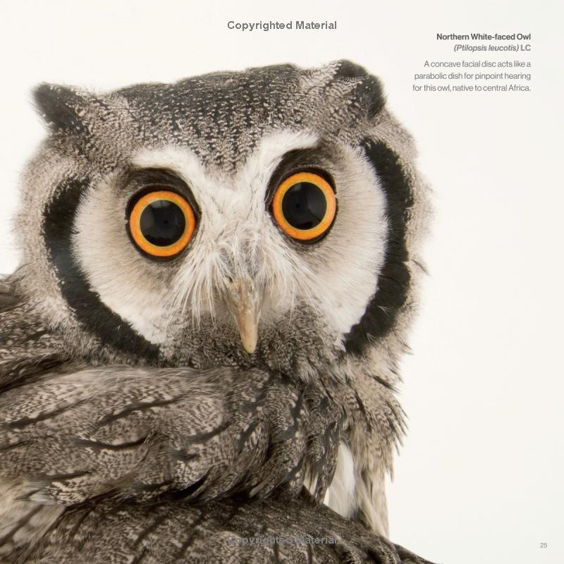 Birds Of The Photo Ark - FAHASA.COM