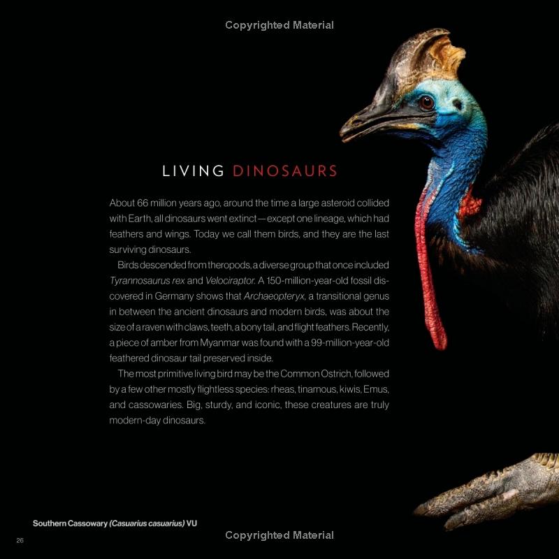 Birds Of The Photo Ark - FAHASA.COM