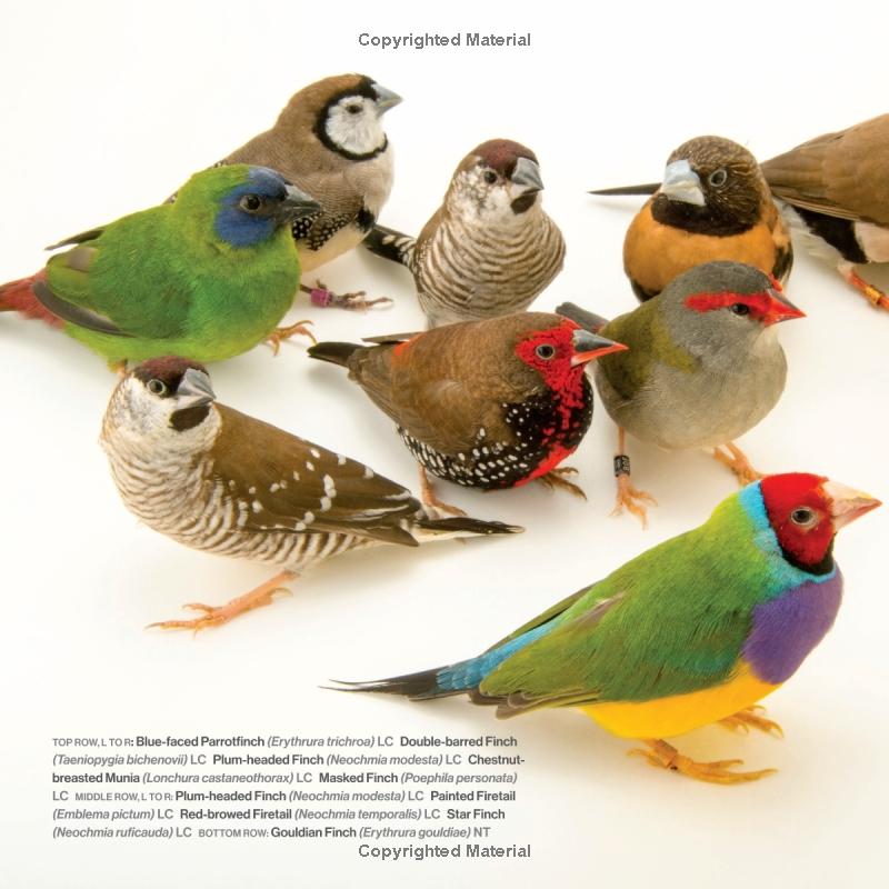 Birds Of The Photo Ark - FAHASA.COM