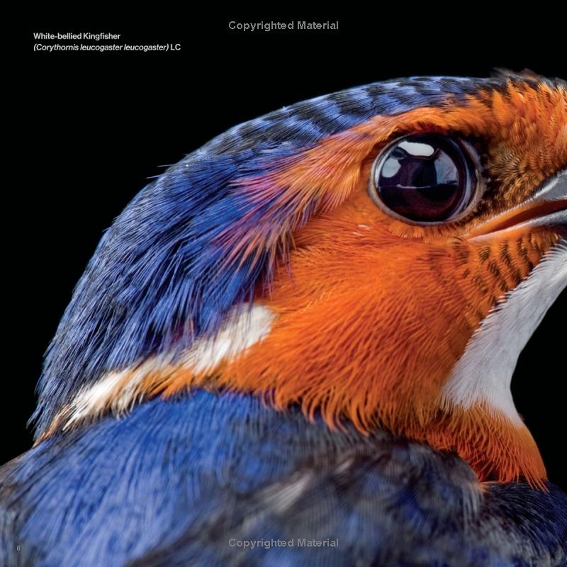 Birds Of The Photo Ark - FAHASA.COM