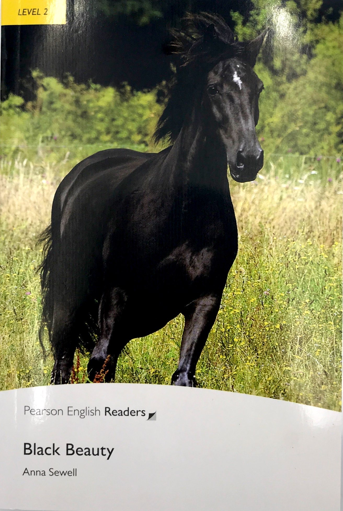 Black Beauty: Level 2