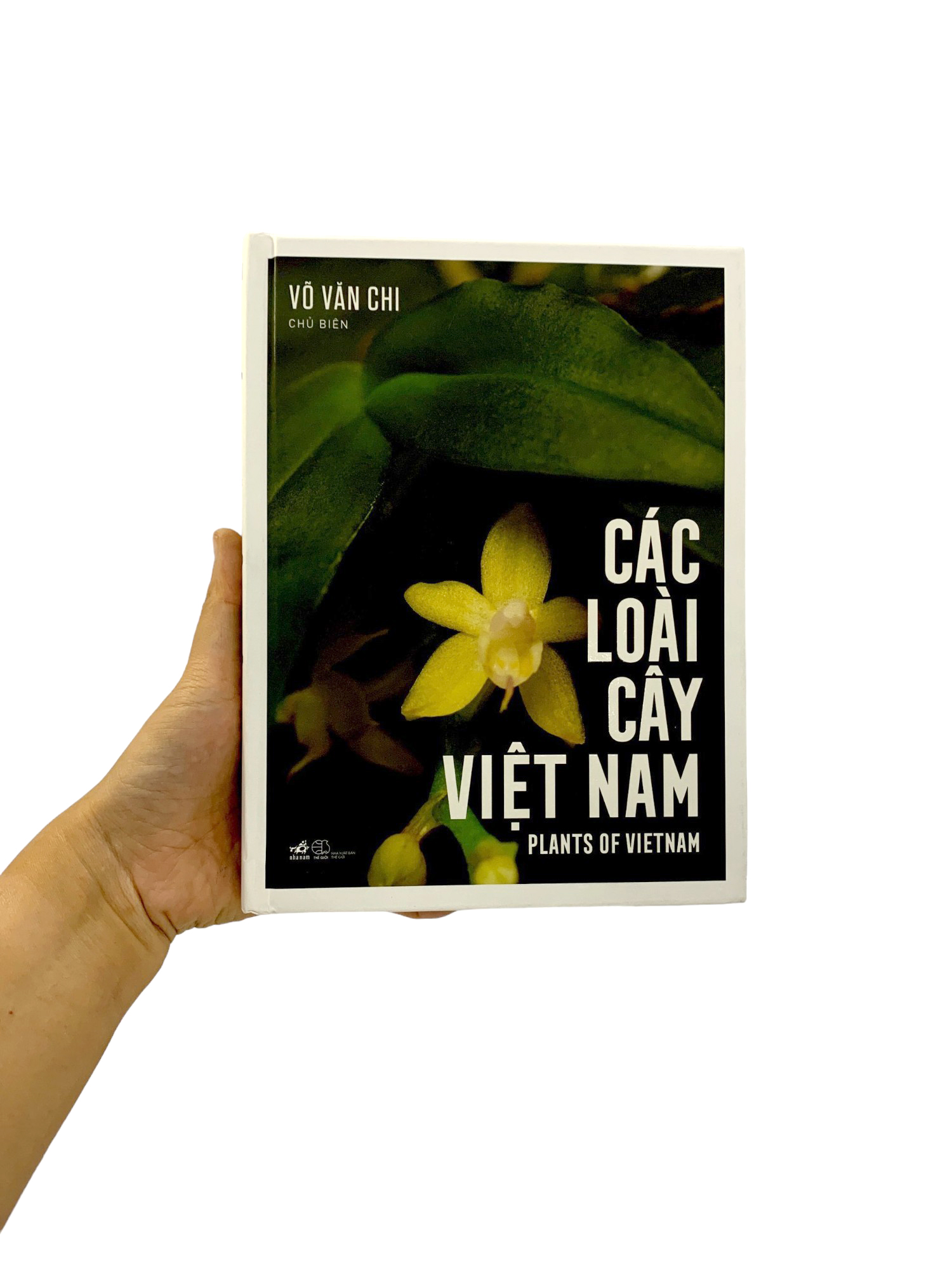 Các Loài Cây Việt Nam - Plants Of Vietnam PDF - Tờ Khai Y Tế