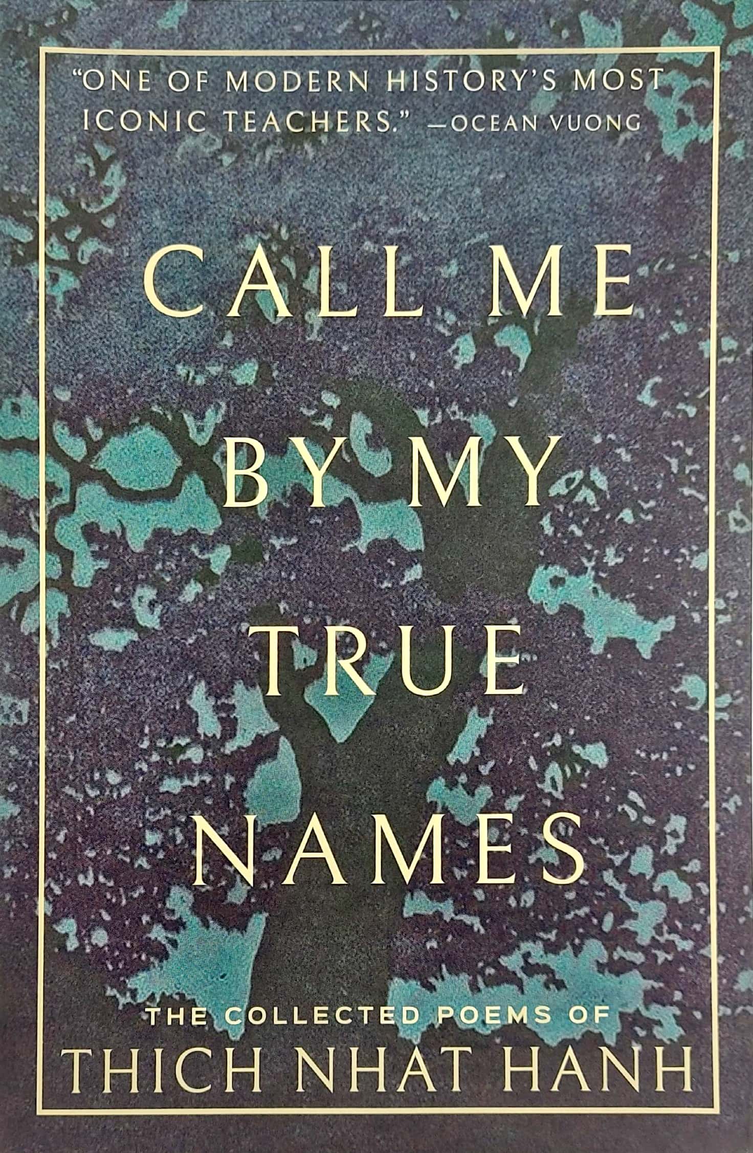 Call Me By My True Names: The Collected Poems Of Thich Nhat Hanh - FAHASA.COM