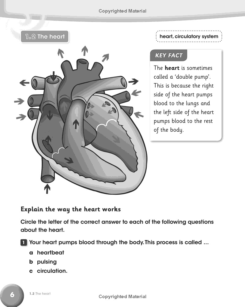 Cambridge Primary Science Challenge 6 - FAHASA.COM