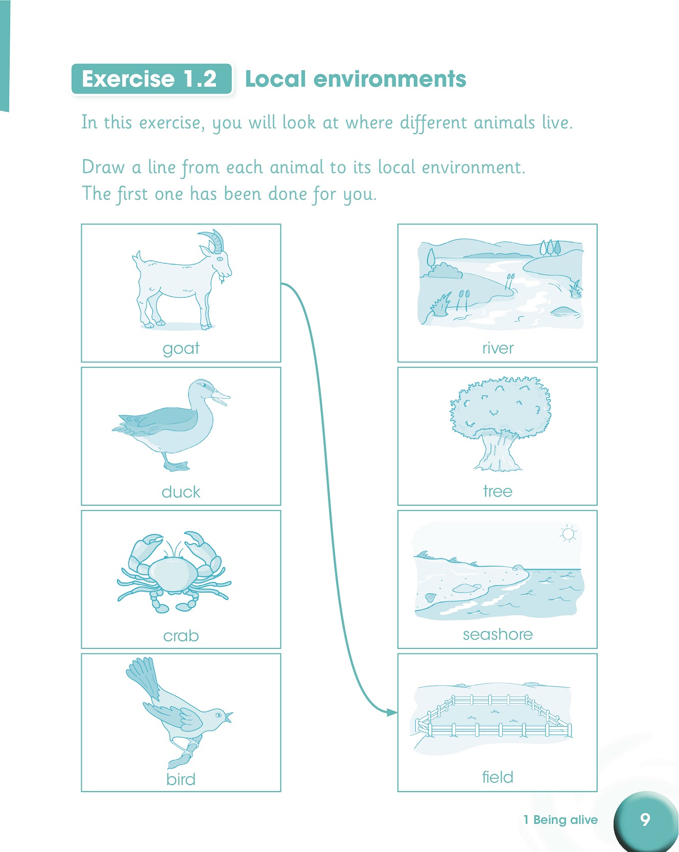 Cambridge Primary Science Stage 1 Activity Book - FAHASA.COM