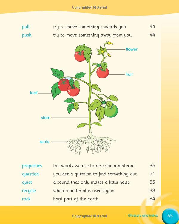 Cambridge Primary Science Stage 1 Learner's Book: Stage 1 - FAHASA.COM
