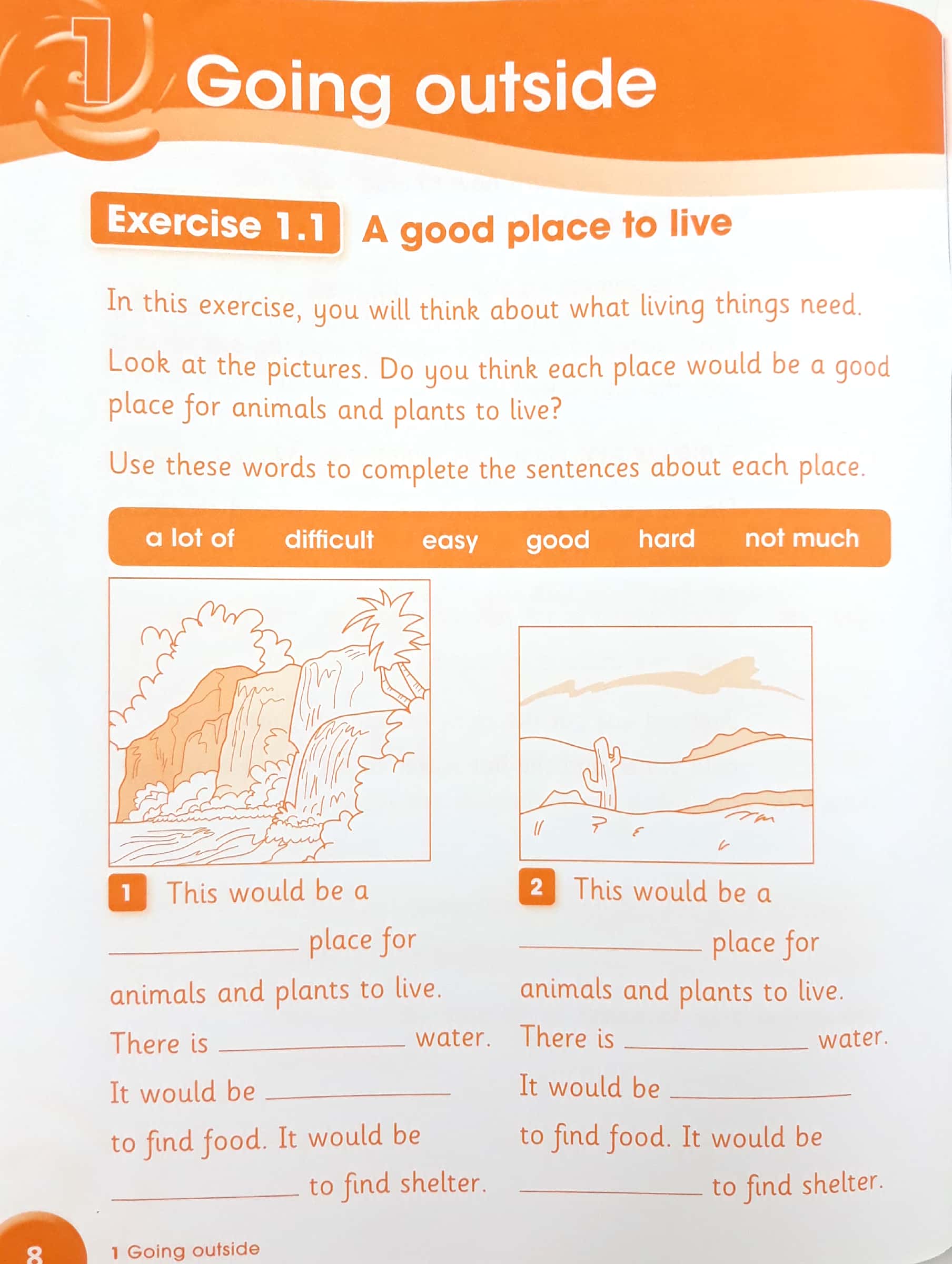 Cambridge Primary Science Stage 2 Activity Book