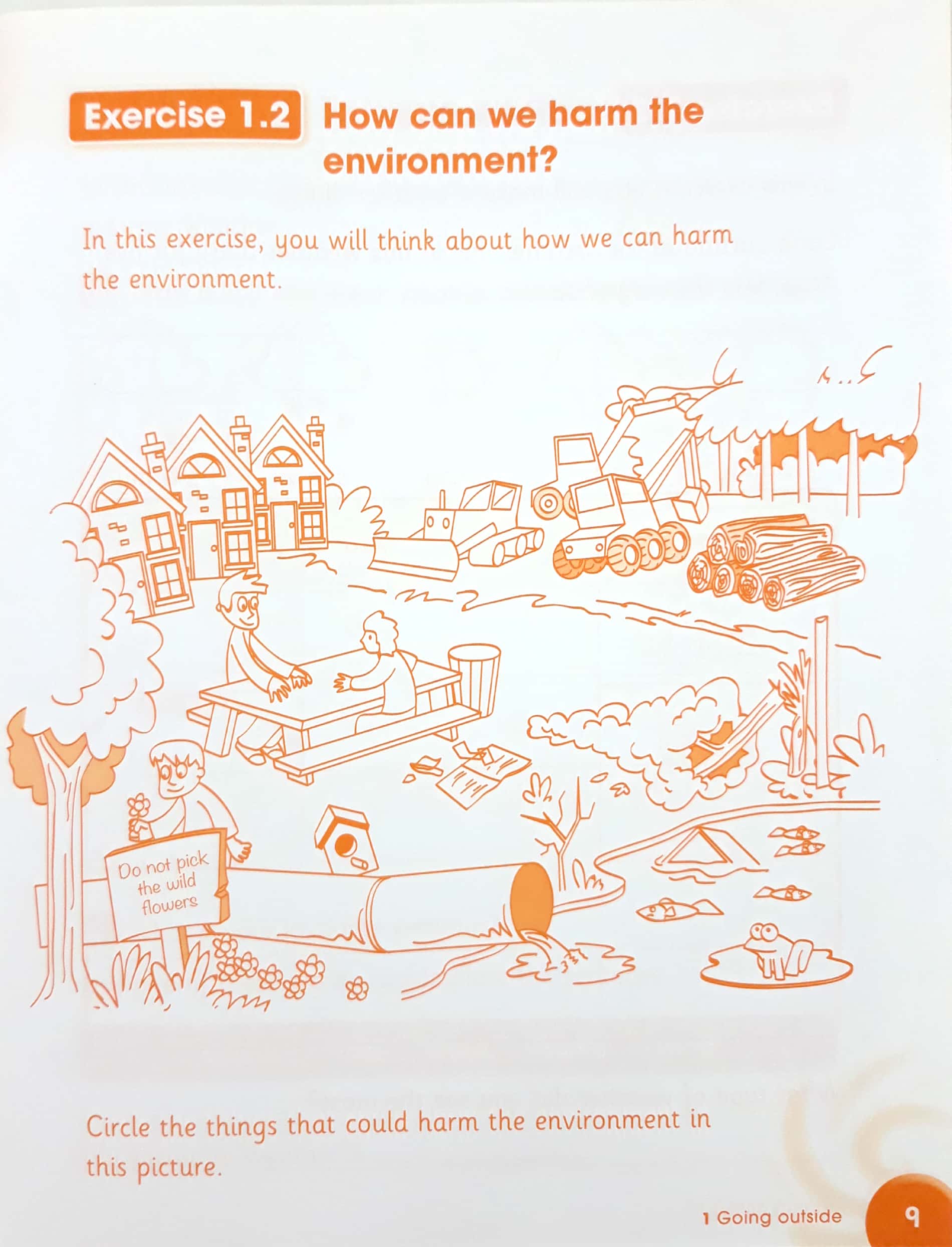 Cambridge Primary Science Stage 2 Activity Book