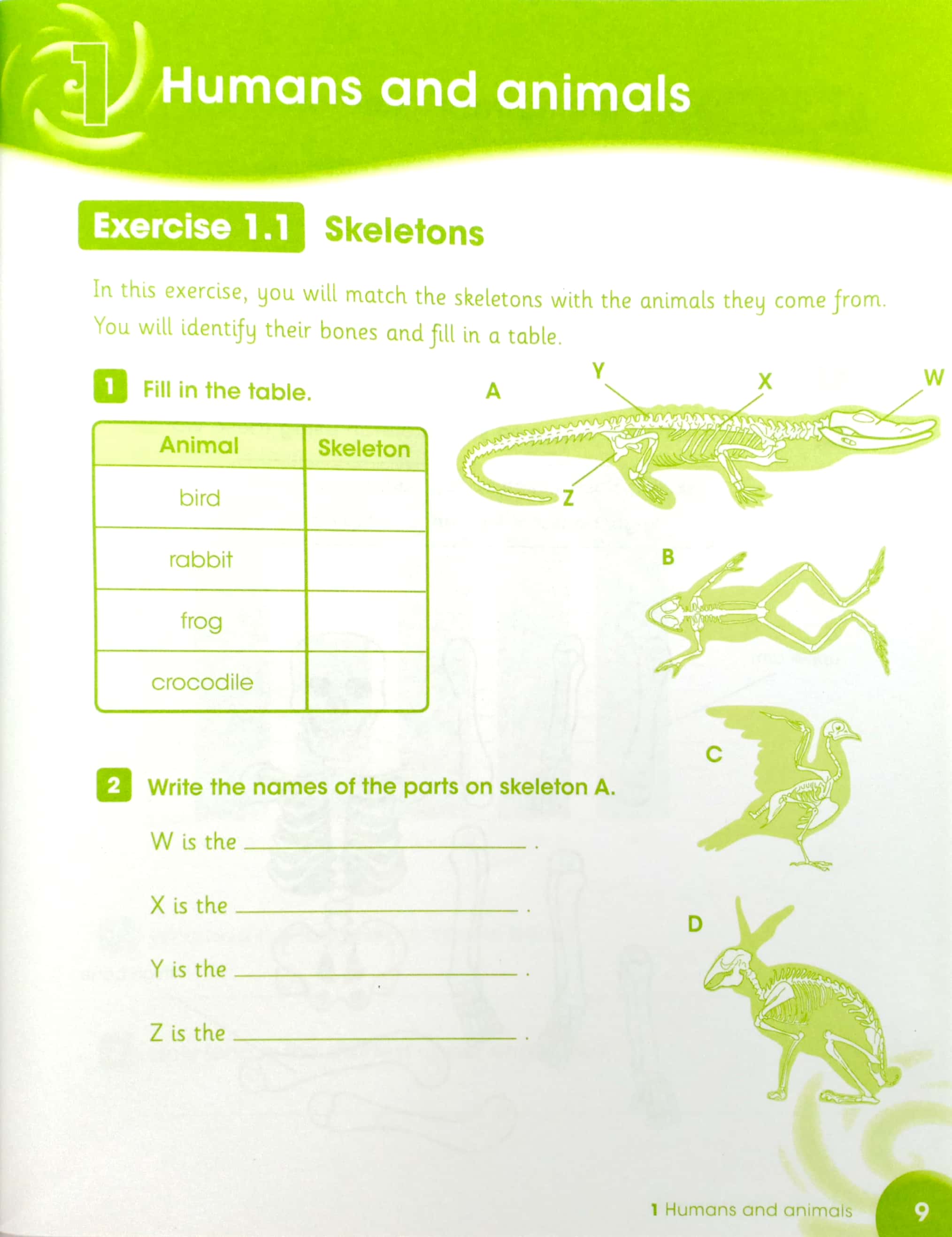 Cambridge Primary Science Stage 4 Activity Book - FAHASA.COM