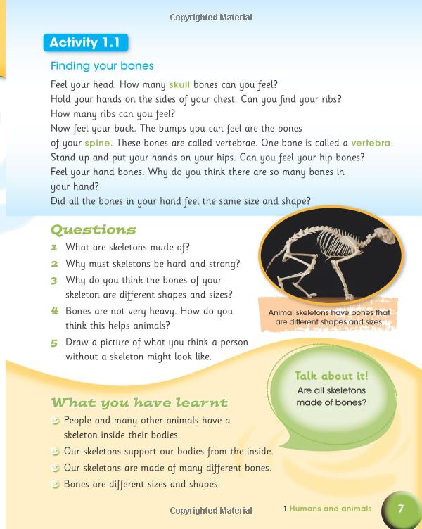 Cambridge Primary Science Stage 4 Learner's Book: Stage 4 - FAHASA.COM