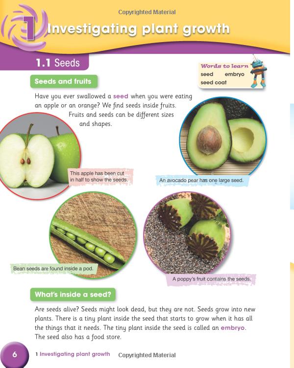 Cambridge Primary Science Stage 5 Learner's Book: Stage 5 - FAHASA.COM