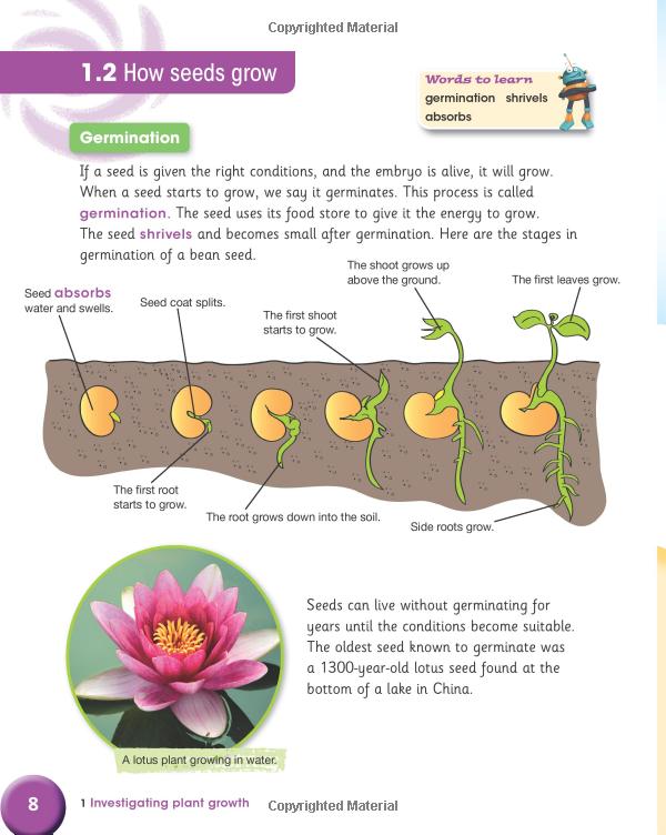 Cambridge Primary Science Stage 5 Learner's Book: Stage 5 - FAHASA.COM