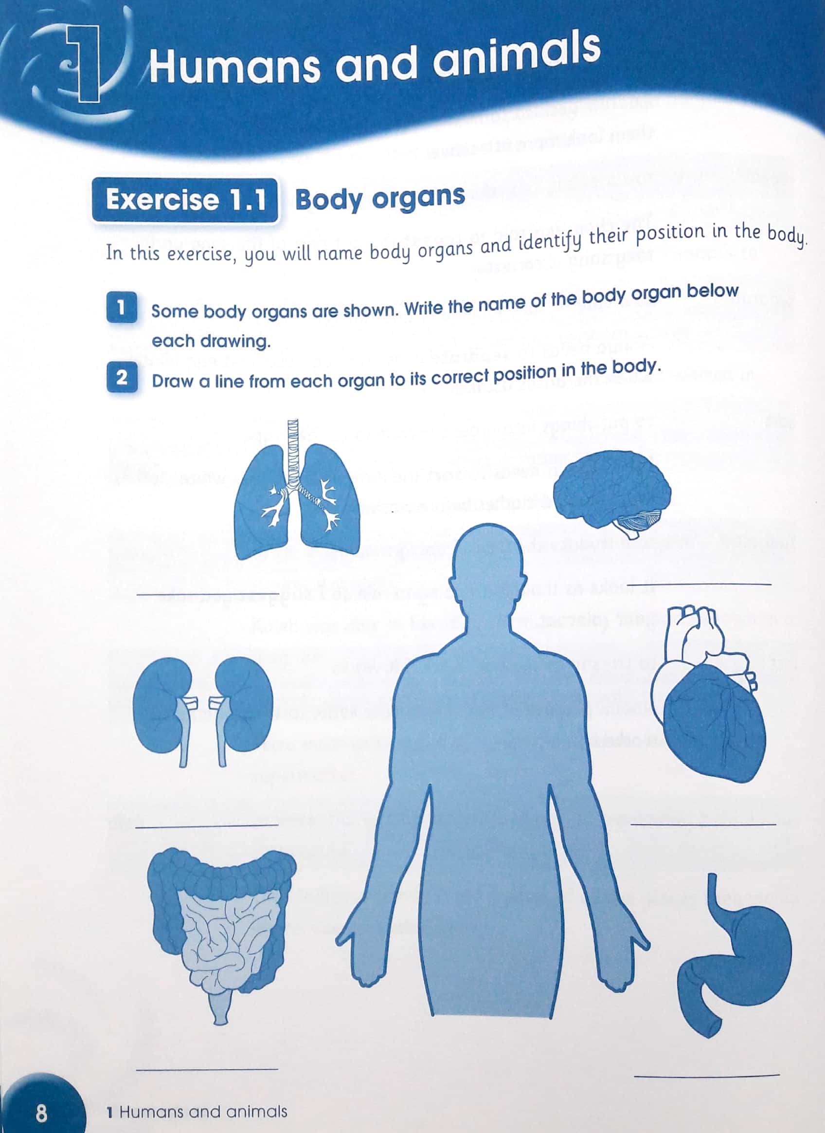 Cambridge Primary Science Stage 6 Activity Book - FAHASA.COM