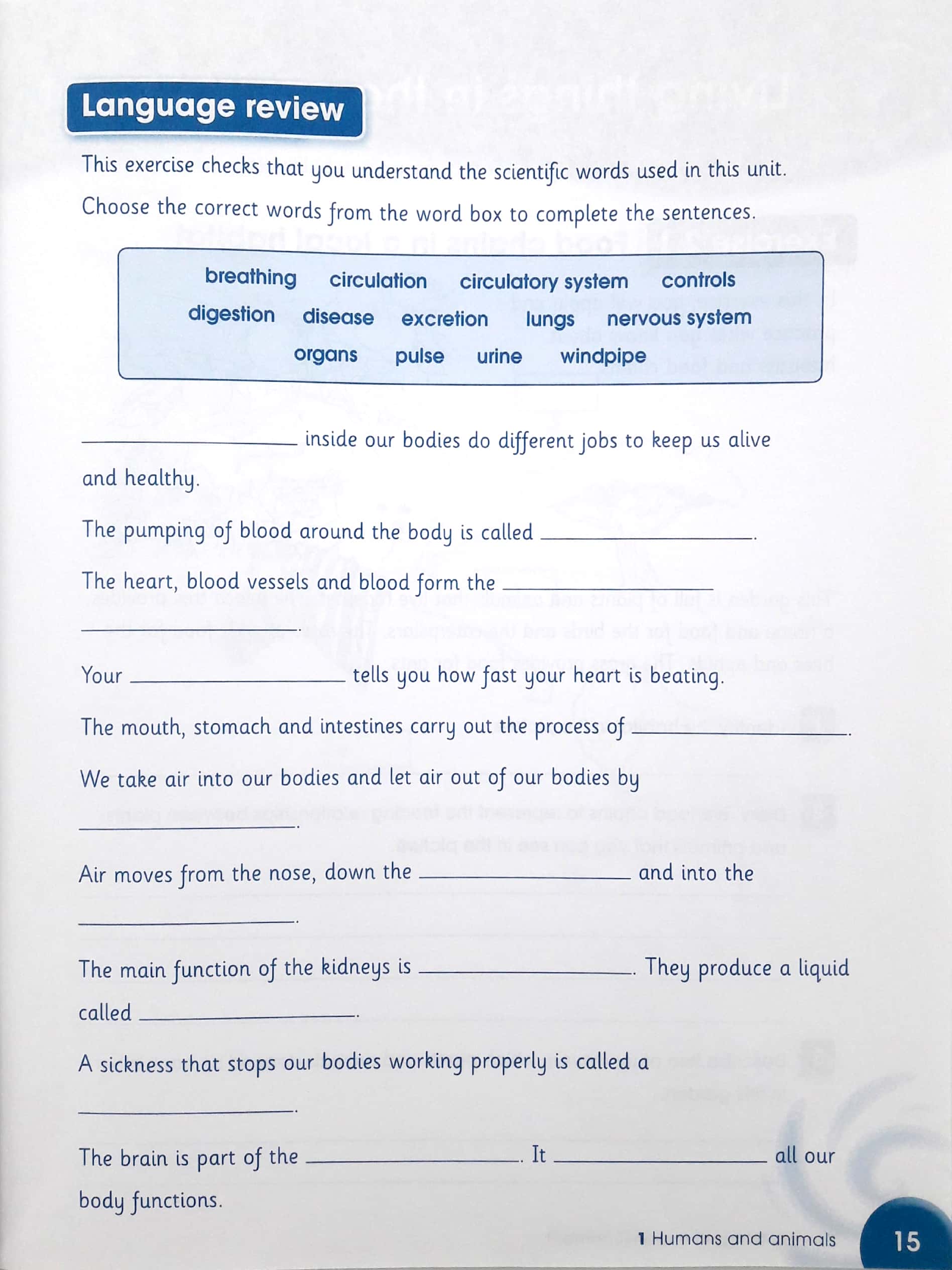 Cambridge Primary Science Stage 6 Activity Book - FAHASA.COM