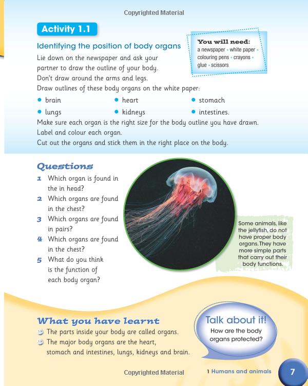 Cambridge Primary Science Stage 6 Learner's Book