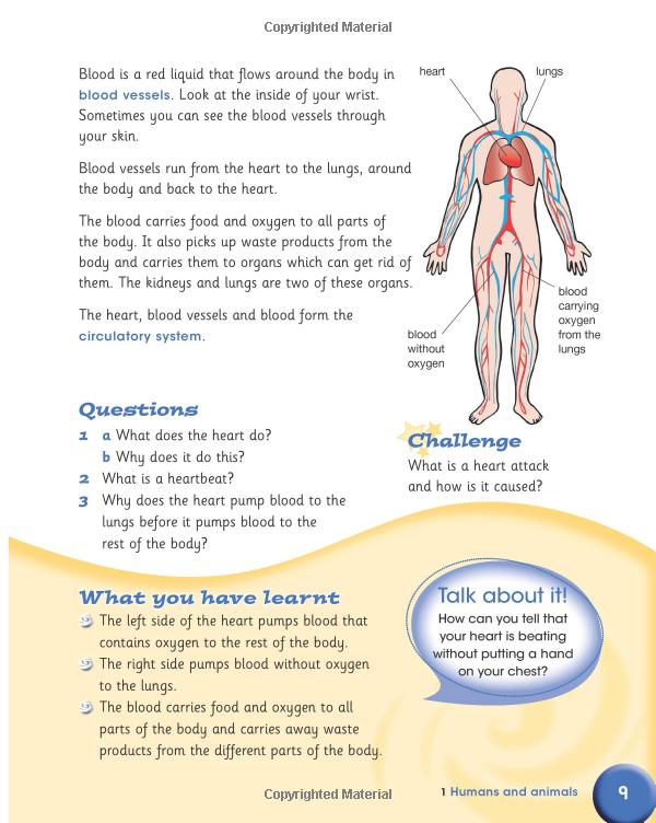Cambridge Primary Science Stage 6 Learner's Book