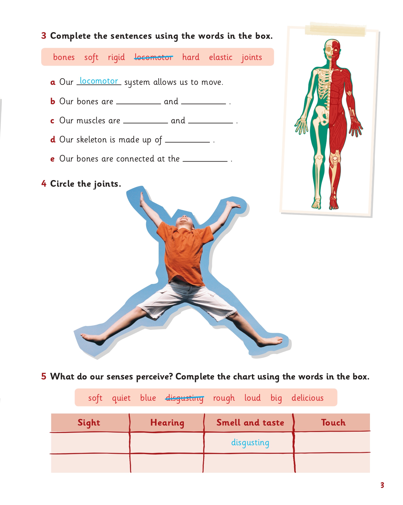 Cambridge Science Skills Level 3 Activity Book With Online Activities ...