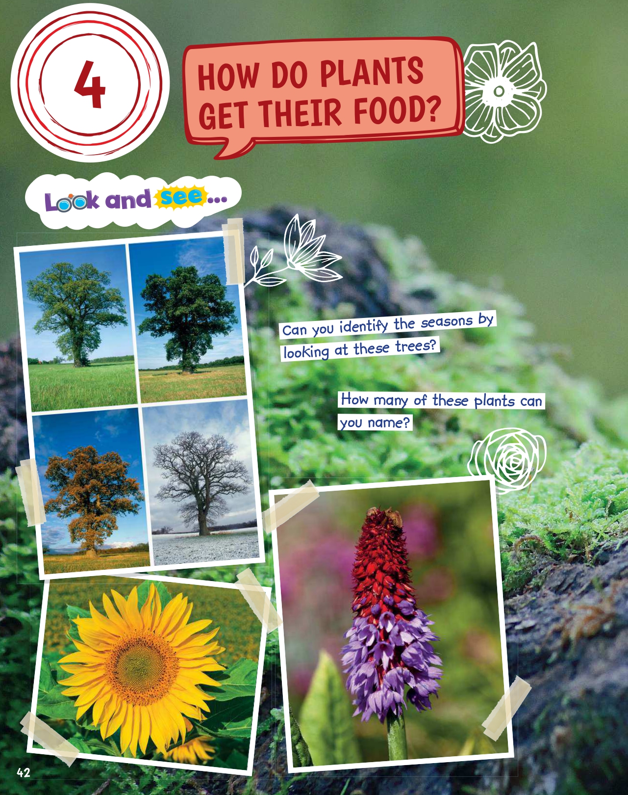 Cambridge Science Skills Level 3 Pupil's Book - FAHASA.COM