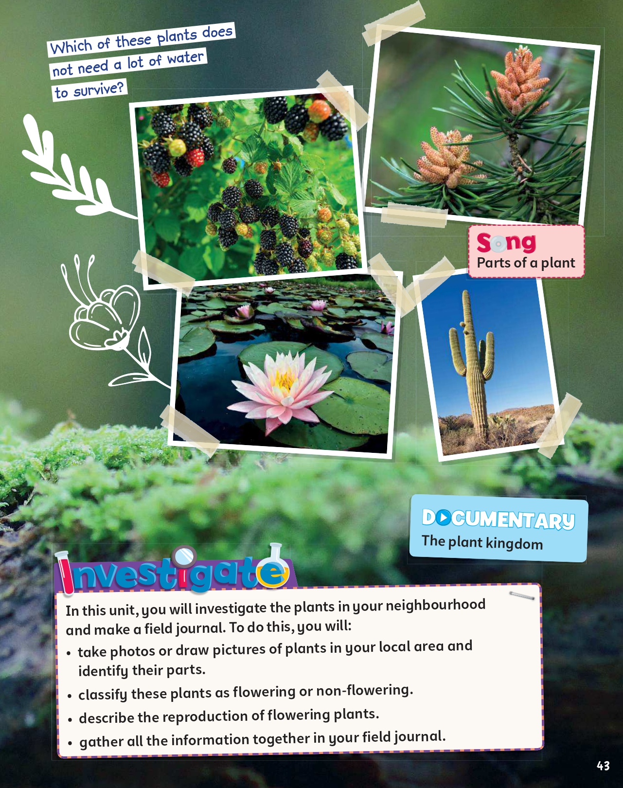 Cambridge Science Skills Level 3 Pupil's Book - FAHASA.COM