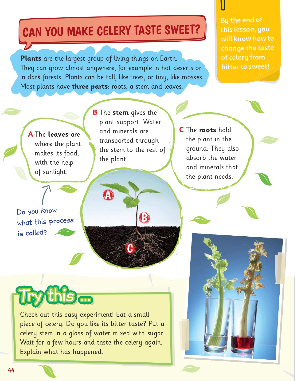 Cambridge Science Skills Level 3 Pupil's Book - FAHASA.COM