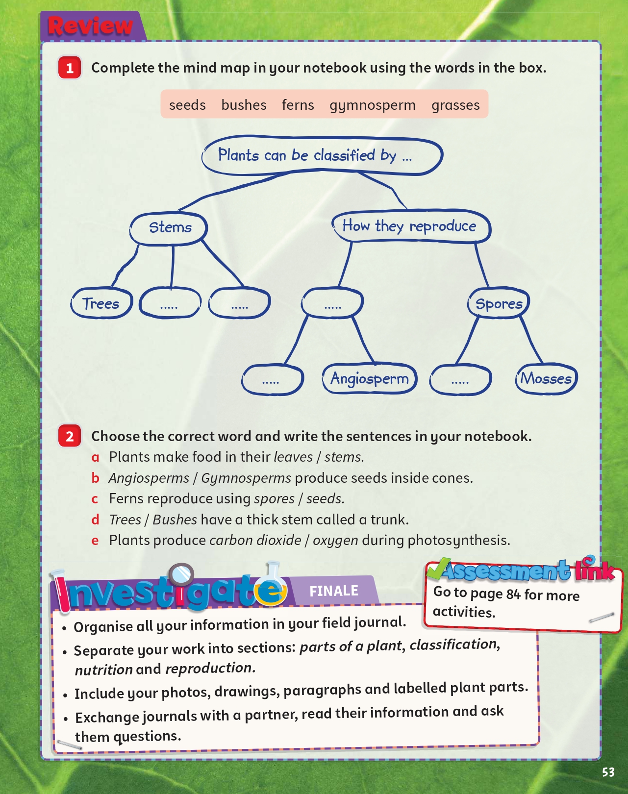 Cambridge Science Skills Level 3 Pupil's Book - FAHASA.COM