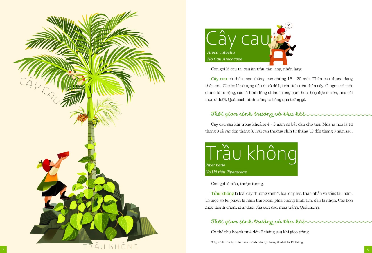 Sách Cây Nhà Lá Vườn - Khám Phá Thế Giới Cây Trái Việt Nam Đa Dạng ...