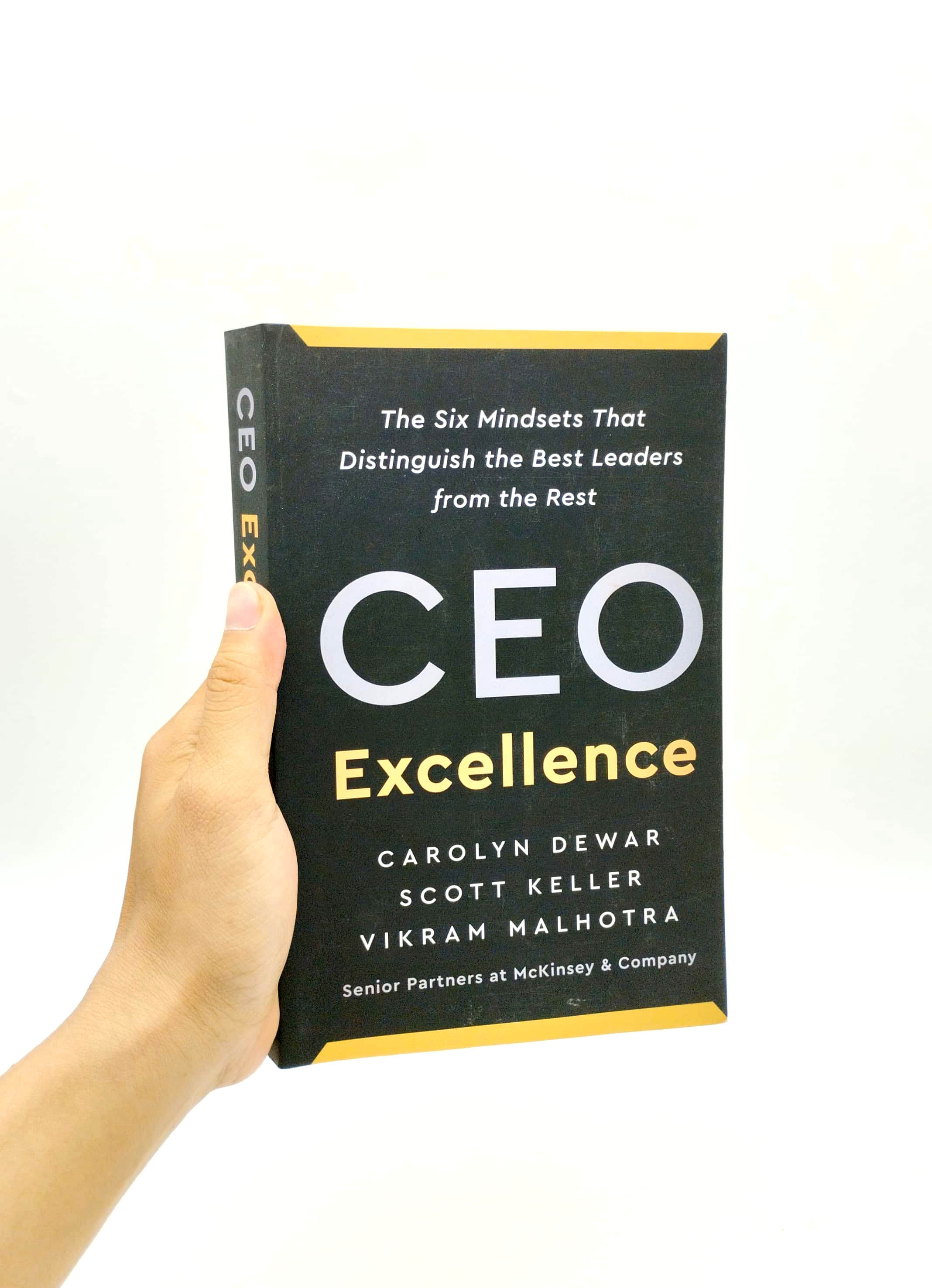 CEO Excellence: The Six Mindsets That Distinguish The Best Leaders From ...