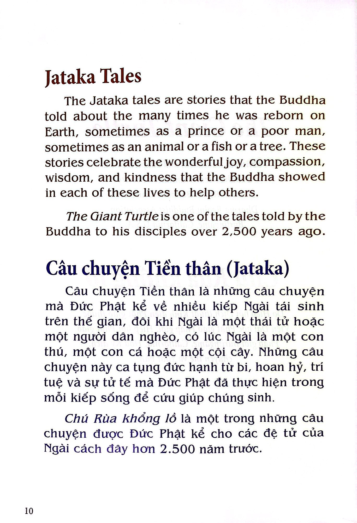 Chú Rùa Khổng Lồ - The Gaint Turtle PDF - Tờ Khai Y Tế