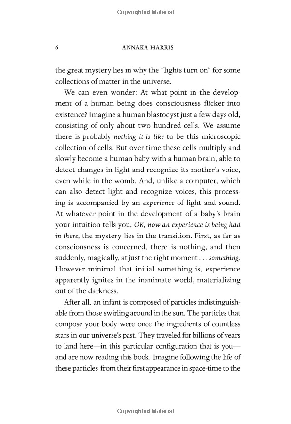 Conscious: A Brief Guide To The Fundamental Mystery Of The Mind