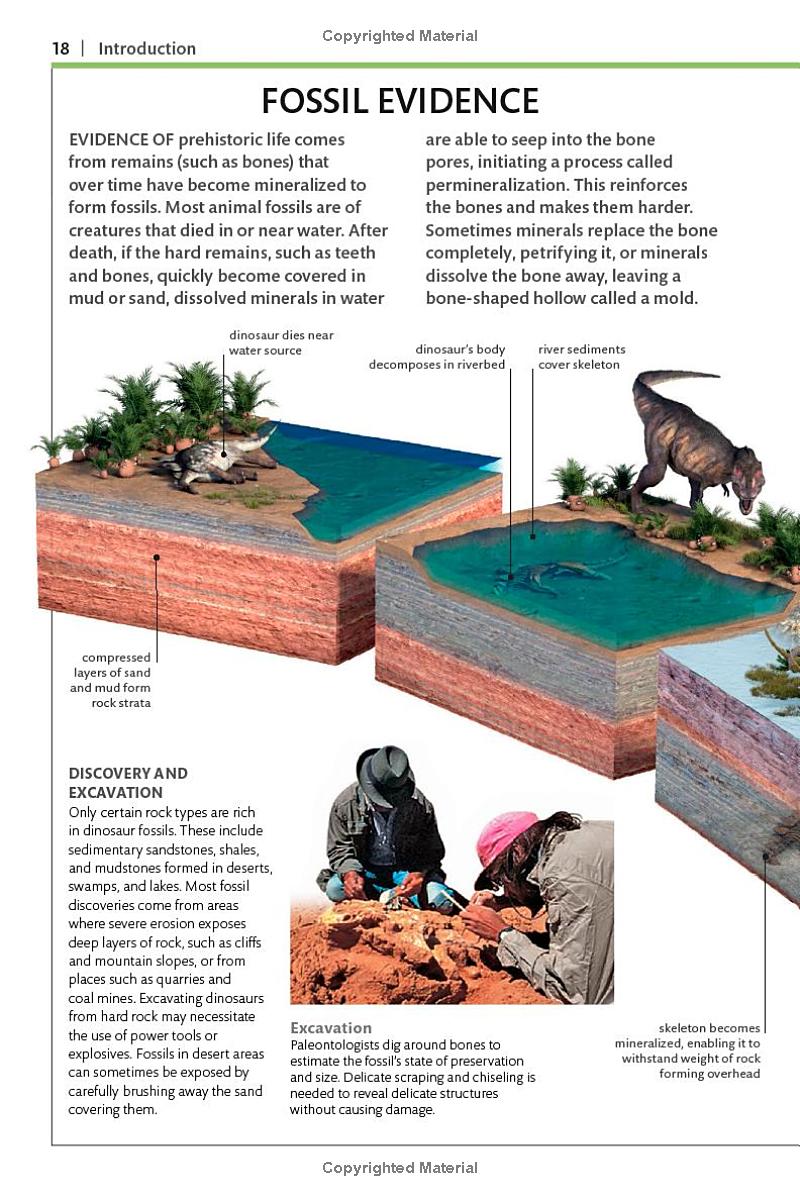 Dinosaurs And Other Prehistoric Life (DK Smithsonian Handbook) - FAHASA.COM