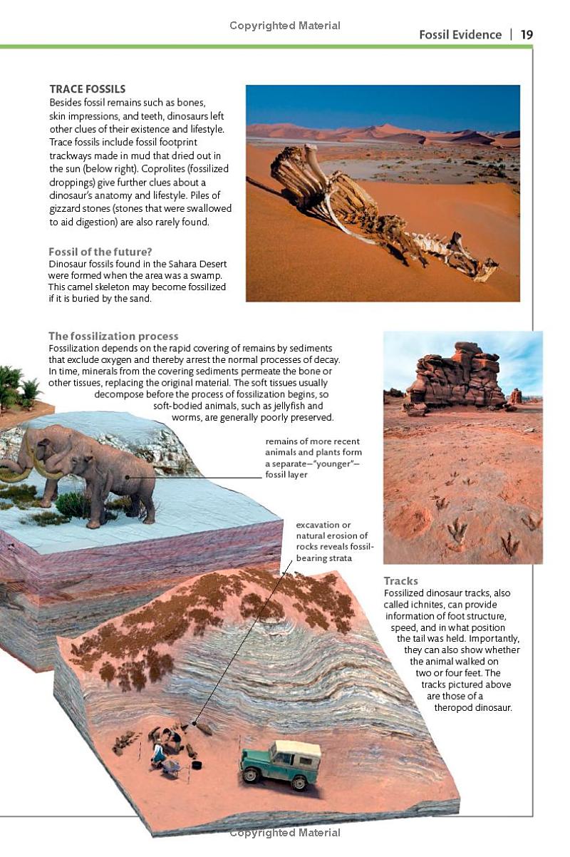 Dinosaurs And Other Prehistoric Life (DK Smithsonian Handbook) - FAHASA.COM