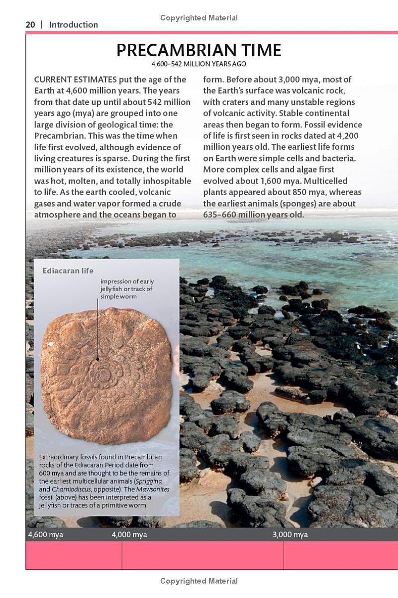 Dinosaurs And Other Prehistoric Life (DK Smithsonian Handbook) - FAHASA.COM